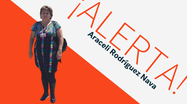 México: Agresión e intimidación contra la defensora y madre buscadora ...